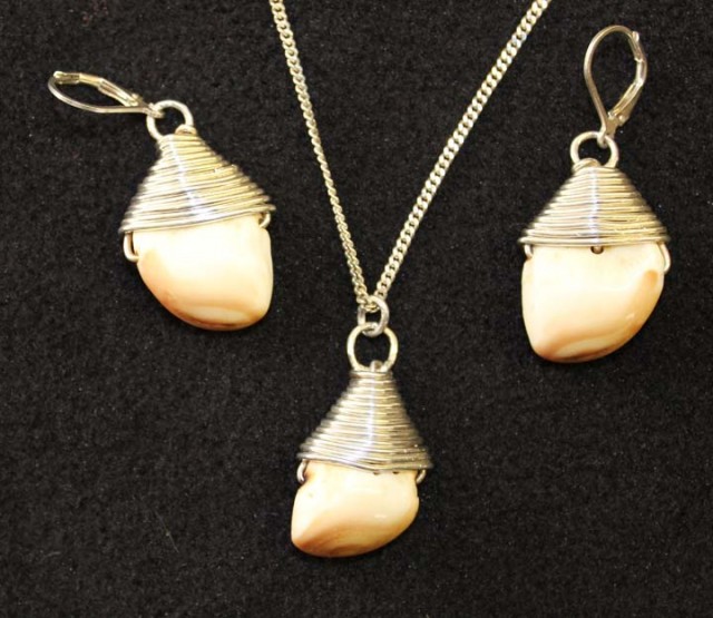 Wire wrapped Elk tooth necklace and earrings